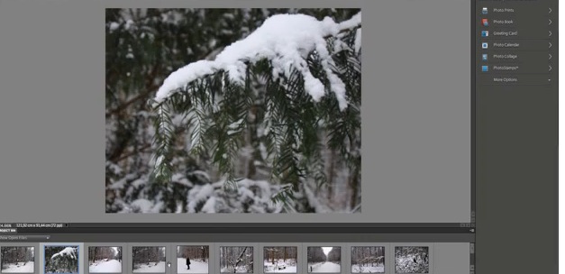 Create A Photobook Using Photoshop Elements Digital Scrapbooking create-a-photobook-using-photoshop-elements-digital-scrapbooking